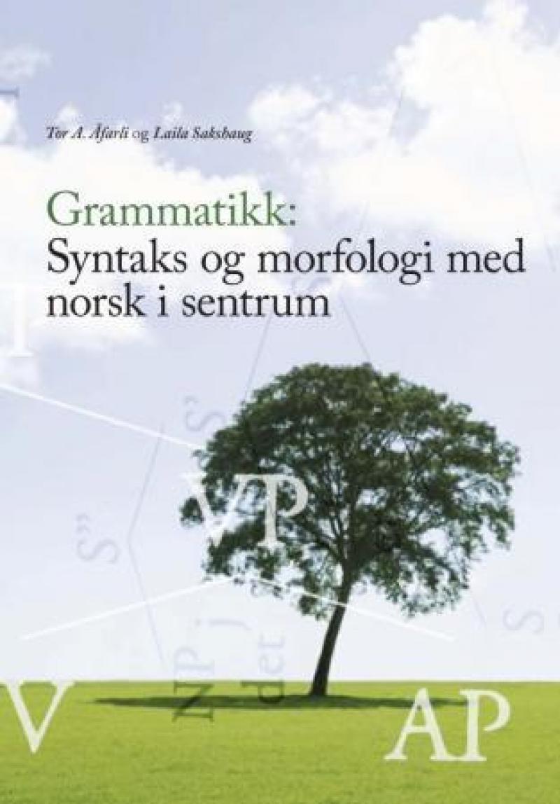 Grammatikk: Syntaks og morfologi med norsk i sentrum på Bookis.com