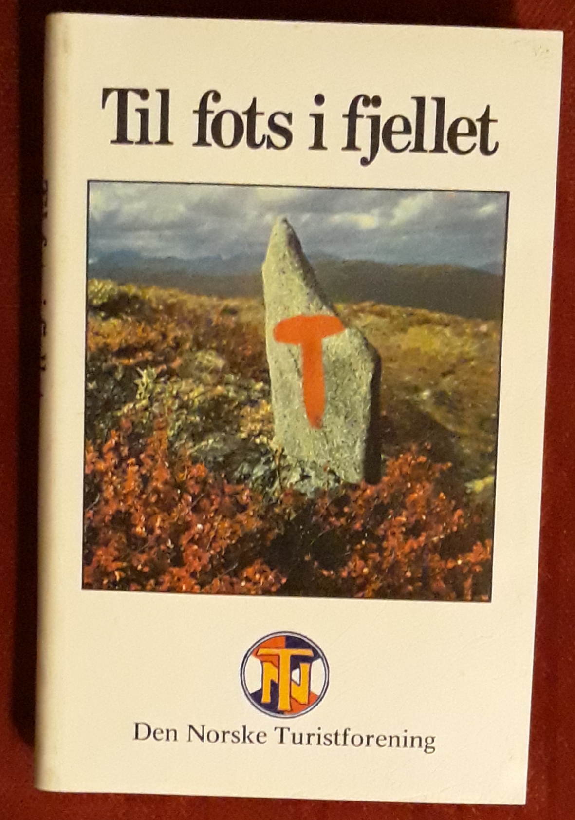 Til fots i fjellet. Beskrivelse av merkede fjellruter i Norge på Bookis.com