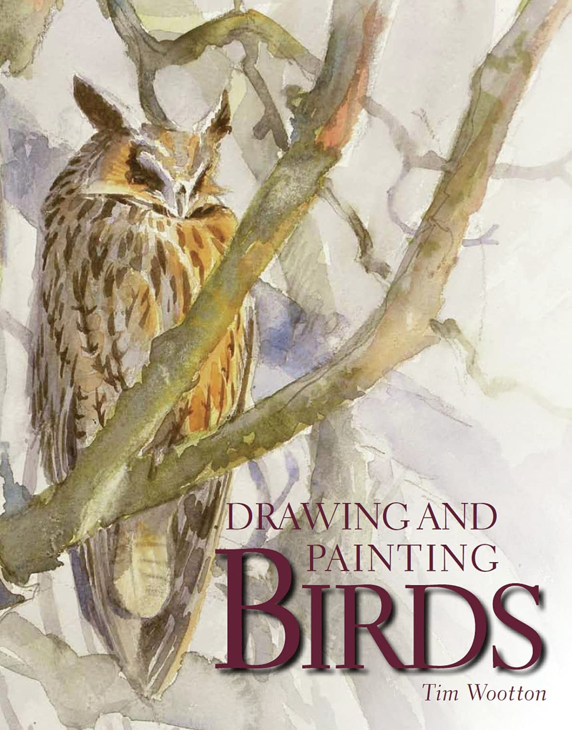 Drawing and Painting Birds på Bookis.com