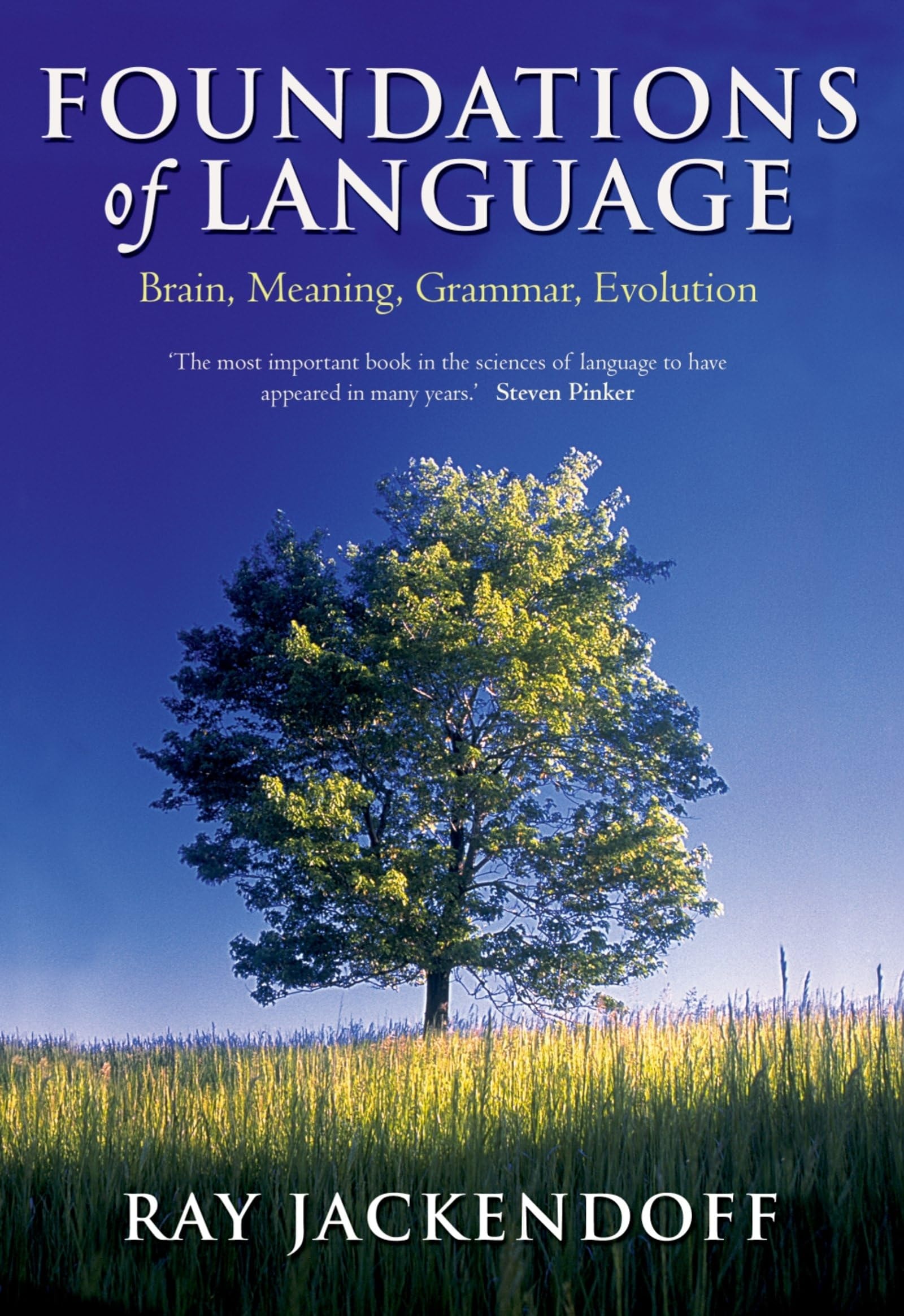 Foundations of Language Brain, Meaning, Grammar, Evolution på Bookis.com